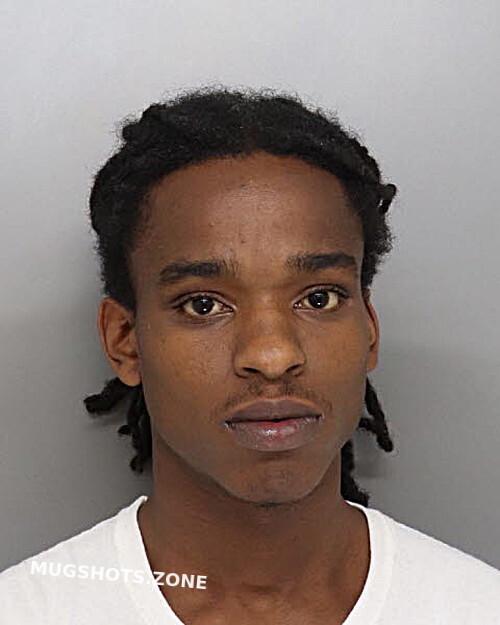 STONE RENATO 10/22/2023 - Hamilton County Mugshots Zone