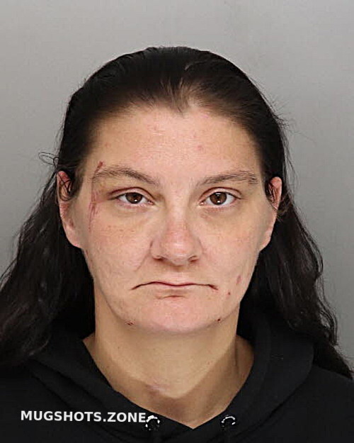 GODFREY AMANDA 10/24/2023 - Hamilton County Mugshots Zone