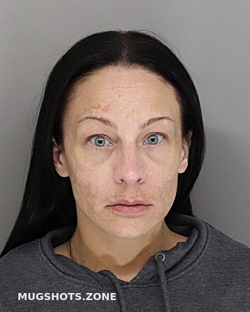 GRIFFITH ROBYN 11/11/2023 - Hamilton County Mugshots Zone