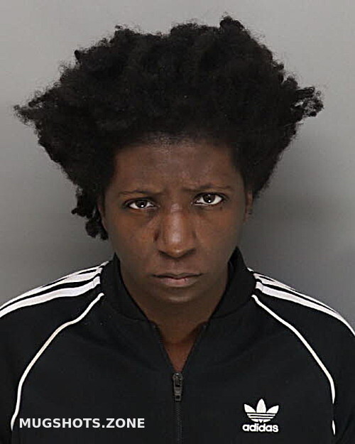 ROBERTS AMBER 11/12/2023 - Hamilton County Mugshots Zone