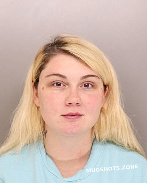 WILLIAMS CAYLA 11/22/2023 - Hamilton County Mugshots Zone