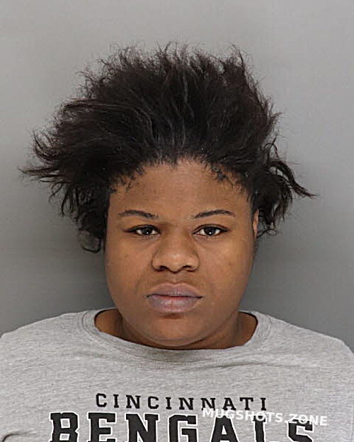 THOMPSON DENISHA 11/24/2023 - Hamilton County Mugshots Zone
