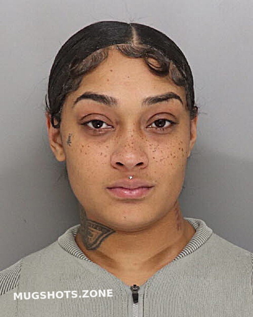 HINES DESIREE 11/25/2023 - Hamilton County Mugshots Zone