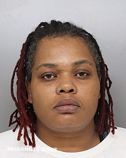 FORD SHEILA 11/29/2023 - Hamilton County Mugshots Zone