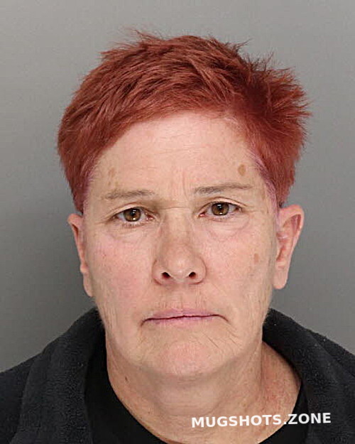 ZELESNIK PAULA 12/07/2023 - Hamilton County Mugshots Zone