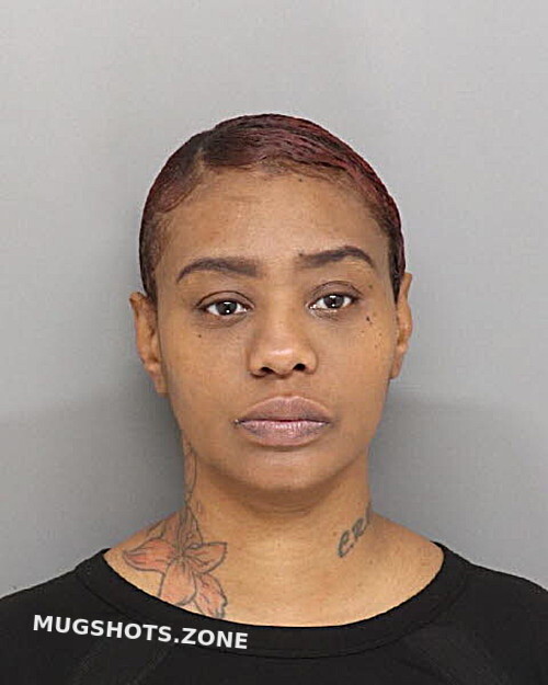 REED ERICKA 12/11/2023 - Hamilton County Mugshots Zone