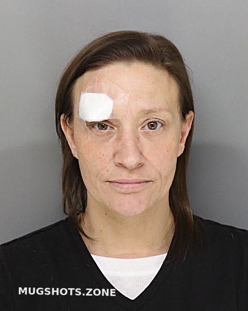 FIELDS MELISSA 12/14/2023 - Hamilton County Mugshots Zone