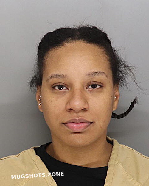 JOHNSON WHITNEY 12/28/2023 - Hamilton County Mugshots Zone