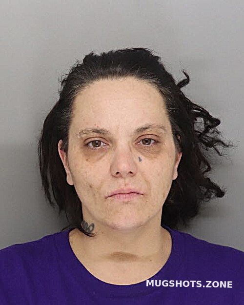 Fletcher Terri 01102024 Hamilton County Mugshots Zone