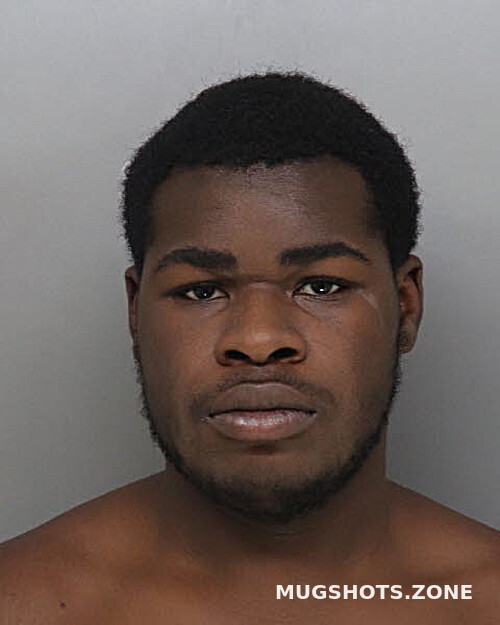 STONE DOMINIC 01/15/2024 - Hamilton County Mugshots Zone