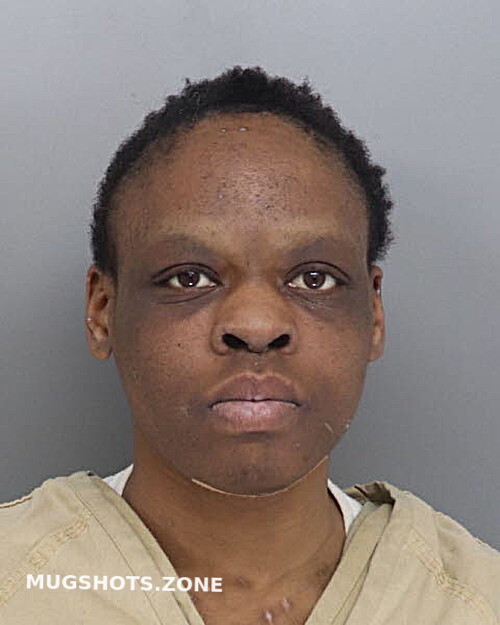 HARDIN RHONDA 01/21/2024 - Hamilton County Mugshots Zone