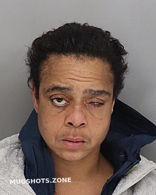 JOHNSON TANGIE 01/25/2024 - Hamilton County Mugshots Zone