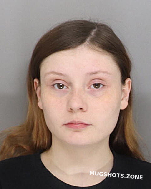 MCLEAN CEIRRA 01/27/2024 - Hamilton County Mugshots Zone