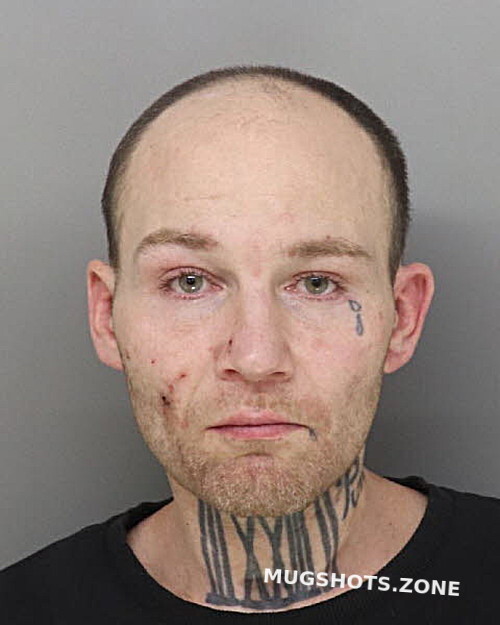 OGLE FRANKIE 02/05/2024 - Hamilton County Mugshots Zone