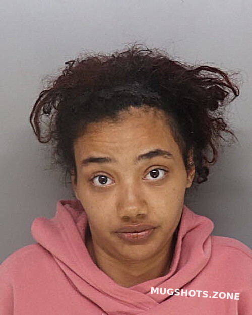 CAMERON DACHELLE 02/27/2024 - Hamilton County Mugshots Zone