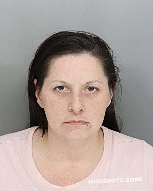 SOUTH AMANDA 03/11/2024 - Hamilton County Mugshots Zone