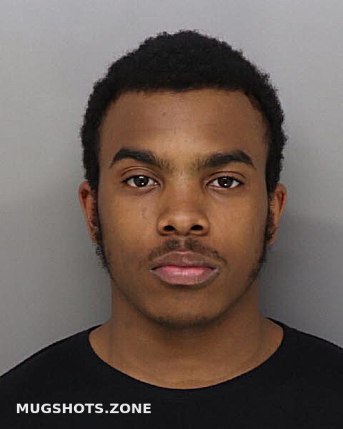 HOLLAND MALIKAI 03/14/2024 - Hamilton County Mugshots Zone