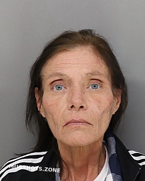 FROELICH SANDY 03/18/2024 - Hamilton County Mugshots Zone