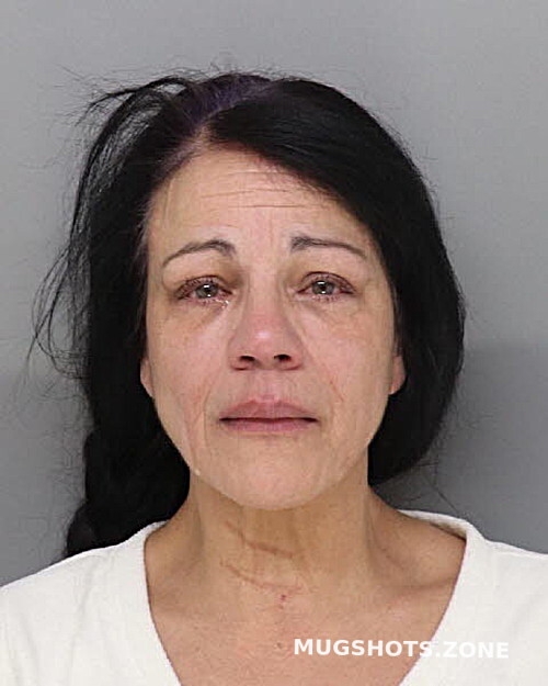VANDERPOOL VICKI 03/20/2024 - Hamilton County Mugshots Zone