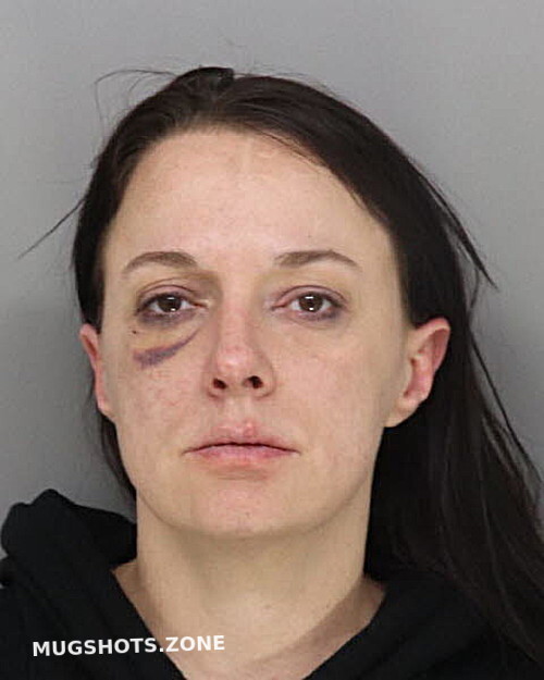 FOSTER SARAH 03/21/2024 - Hamilton County Mugshots Zone