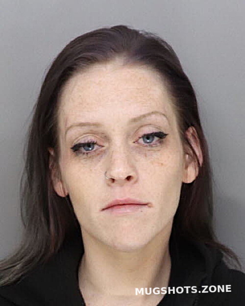 DICK TABITHA 03/21/2024 - Hamilton County Mugshots Zone