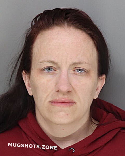 SCHULTZ JILLYNN 03/25/2024 - Hamilton County Mugshots Zone