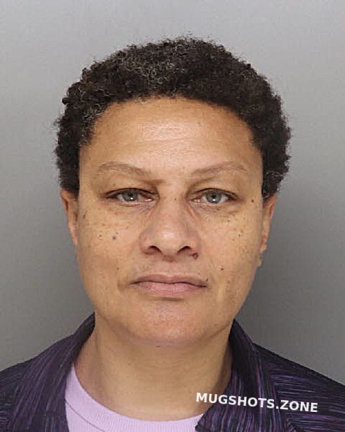 FORD SHEILA 03/26/2024 - Hamilton County Mugshots Zone