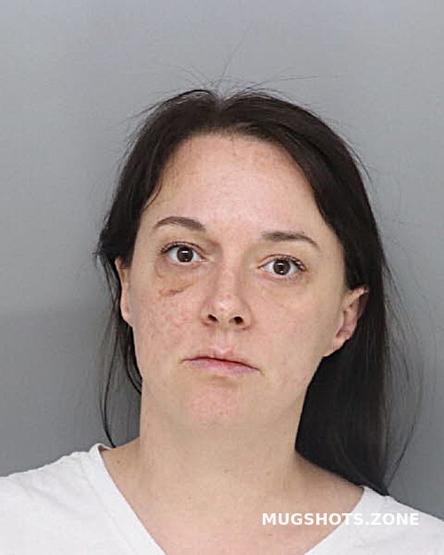 FOSTER SARAH 03/27/2024 - Hamilton County Mugshots Zone