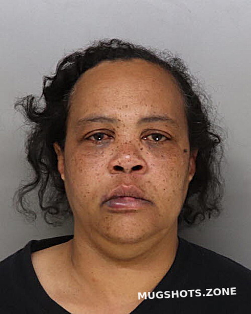 MCELROY STACEY 04/07/2024 - Hamilton County Mugshots Zone