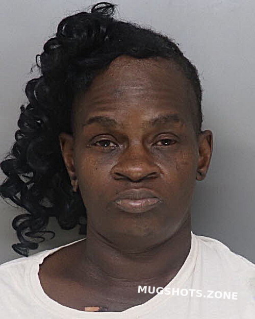 CHAMPION ROBIN 04/16/2024 - Hamilton County Mugshots Zone