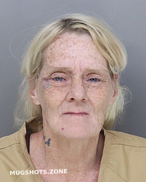 BROGAN TONYA 04/17/2024 - Hamilton County Mugshots Zone