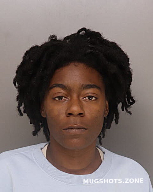 COATES DIJANAINA 04/19/2024 - Hamilton County Mugshots Zone