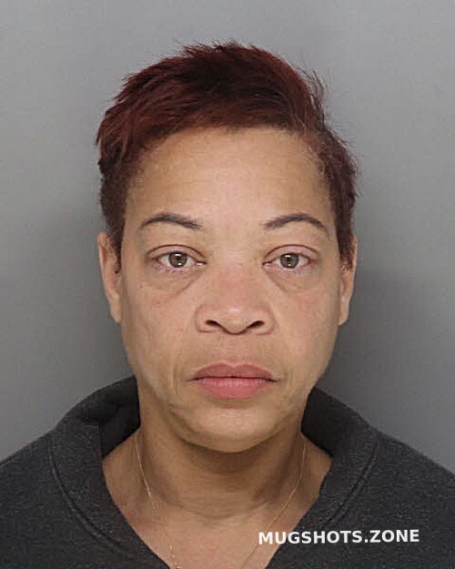 ROBINSON MICHELLE 04/19/2024 - Hamilton County Mugshots Zone