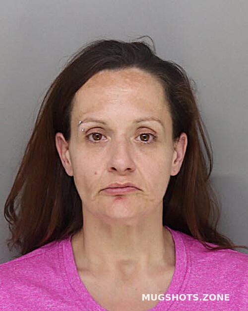 BOSHEARS MICHELLE 04/23/2024 - Hamilton County Mugshots Zone