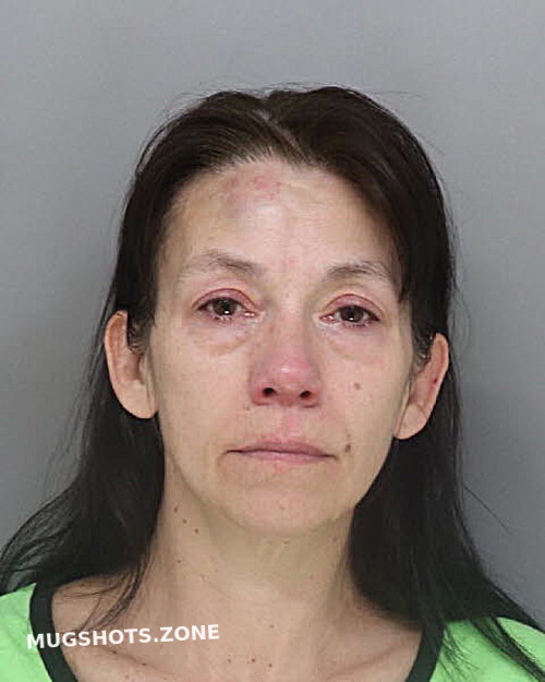 GRUBB TANYA 04/27/2024 - Hamilton County Mugshots Zone