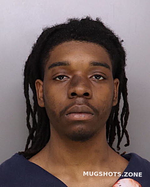 WHITE DAVONTAY 11/25/2024 - Hamilton County Mugshots Zone