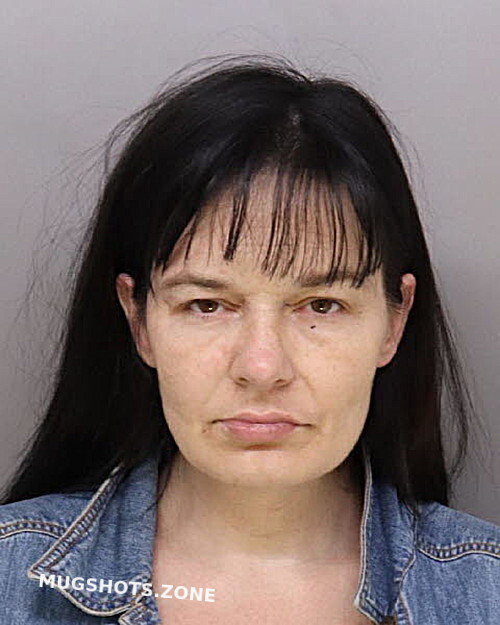 WILLIAMSON TASHA 12/05/2024 - Hamilton County Mugshots Zone