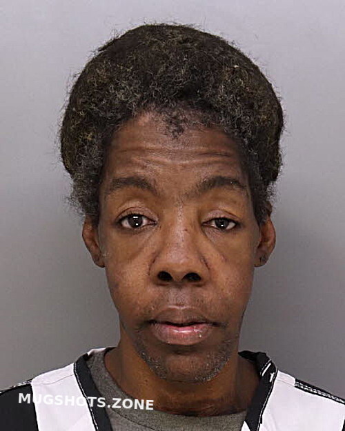 BOOKER ARTHUR 12/22/2024 - Hamilton County Mugshots Zone