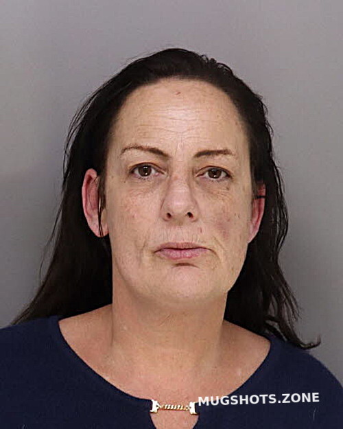 WELLS JULIE 01/20/2025 - Hamilton County Mugshots Zone