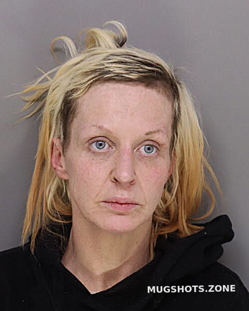 NICHOLAS TIFFANY 01/21/2025 - Hamilton County Mugshots Zone