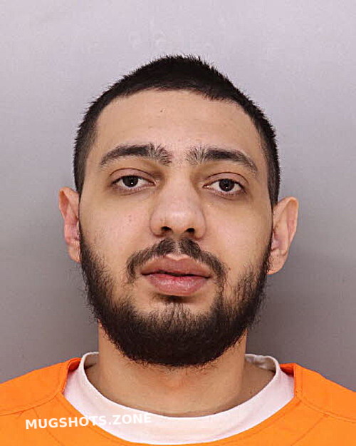 IAMANDITA IONUT 01/22/2025 - Hamilton County Mugshots Zone