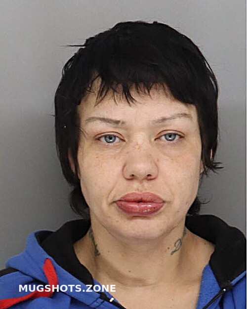 CHANDLER JENNIFER 01/24/2025 - Hamilton County Mugshots Zone