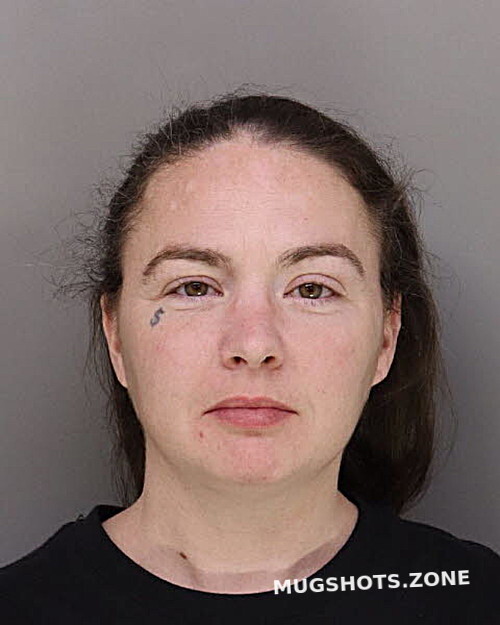 DOYLE ALISHA 01/25/2025 - Hamilton County Mugshots Zone