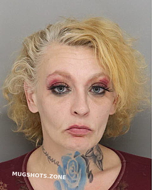 COLLINS AMANDA 01/29/2025 - Hamilton County Mugshots Zone