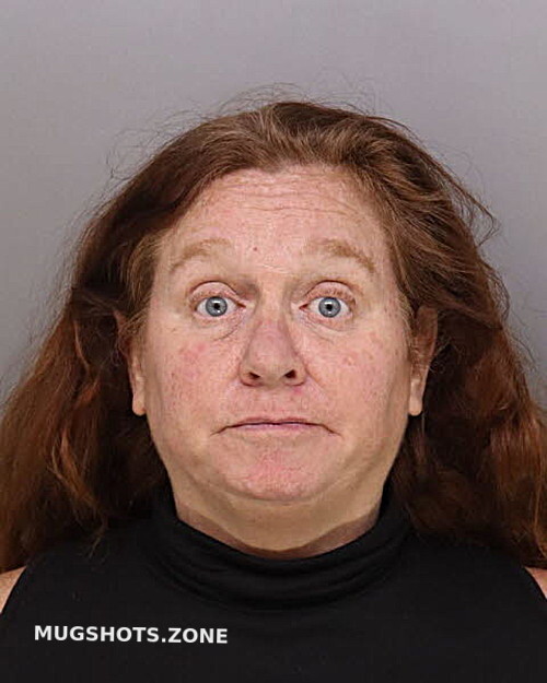 SCHULTZ JENNIFER 02/02/2025 - Hamilton County Mugshots Zone
