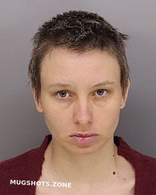 BEST VICTORIA 02/04/2025 - Hamilton County Mugshots Zone