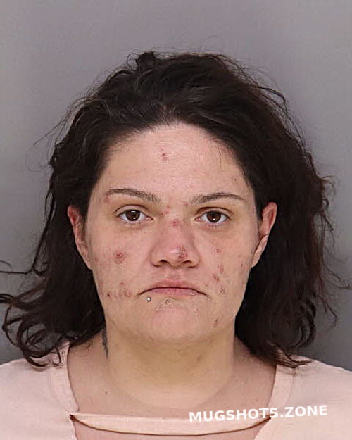 COLWELL BRENDA 02/08/2025 - Hamilton County Mugshots Zone