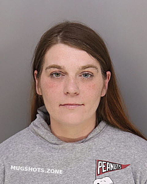 DAY JESSICA 02/11/2025 - Hamilton County Mugshots Zone