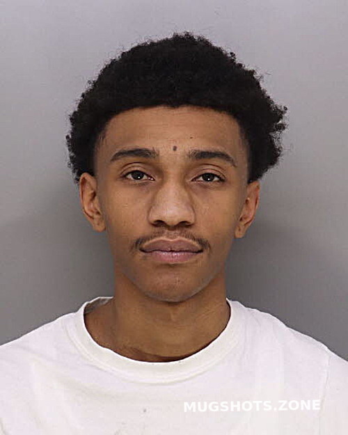 GREEN RAYMOND 02/11/2025 - Hamilton County Mugshots Zone