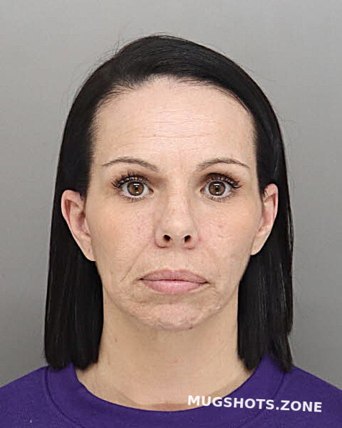 LAKE MICHELLE 02/18/2025 - Hamilton County Mugshots Zone